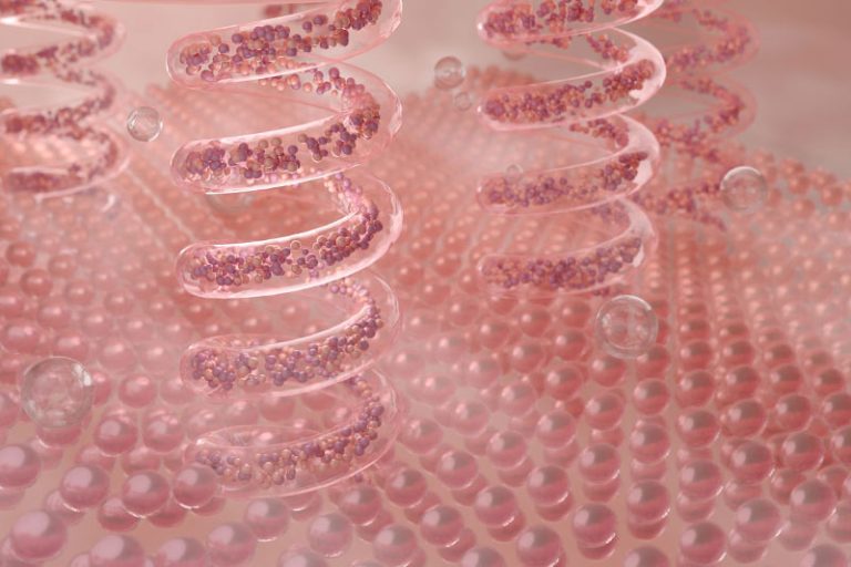 Collagen vs. Elastin: What Are the Differences?